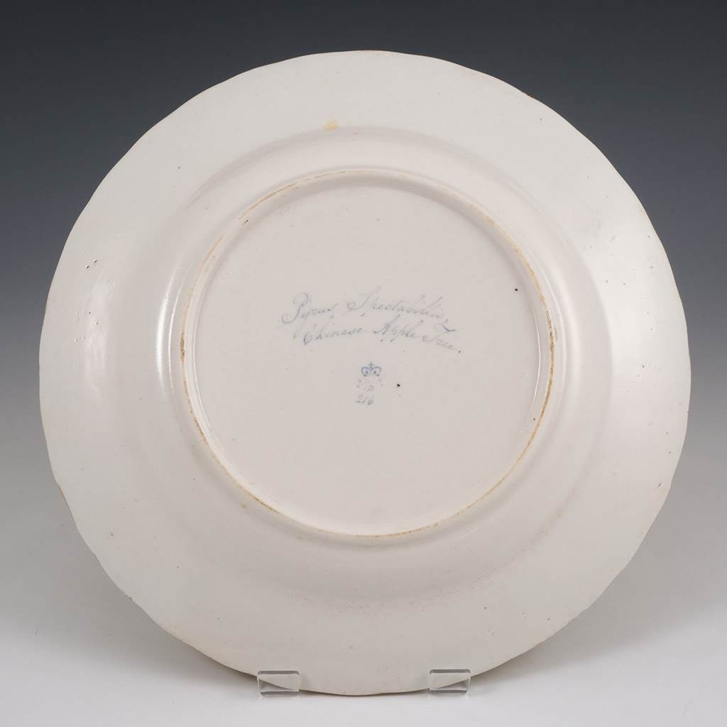 A Derby Porcelain Botanical Plate c1800