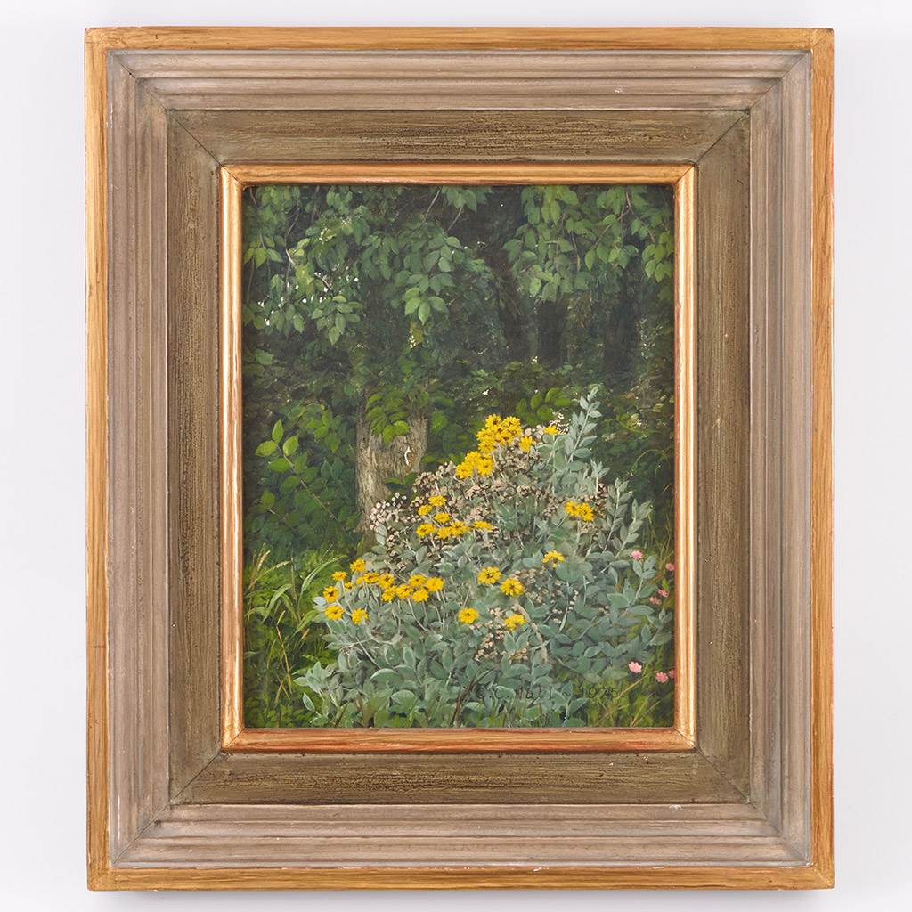 Christopher Hall (1930-2016) A Senacio Plant