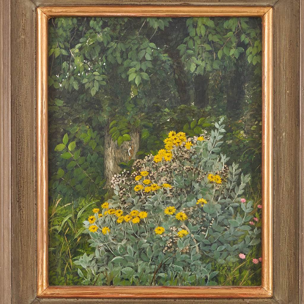 Christopher Hall (1930-2016) A Senacio Plant