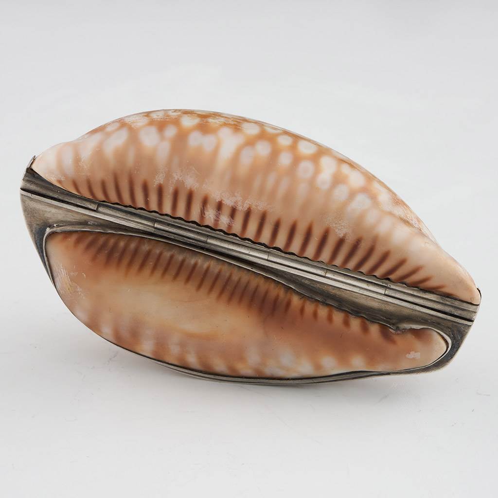A 19th Century Silver Mounted Cowrie Shell Snuff Box