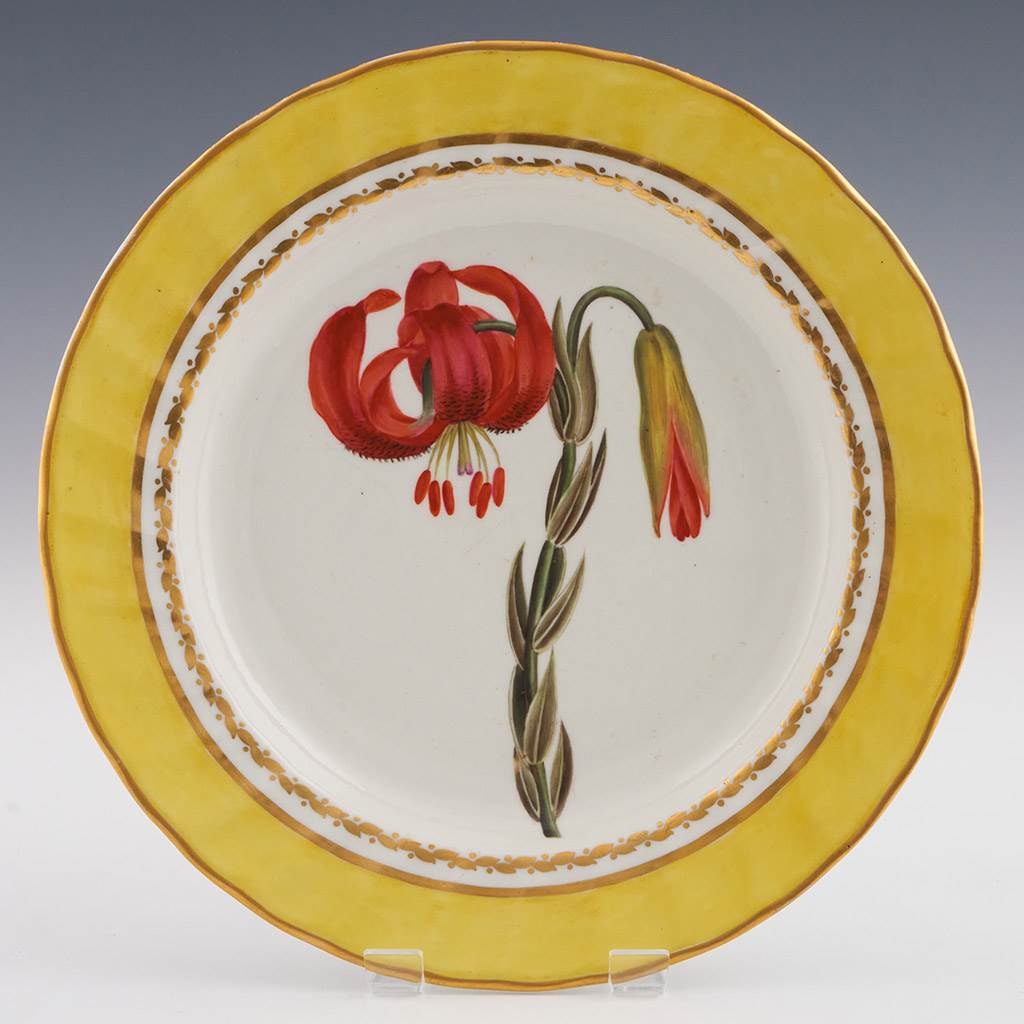 Derby Porcelain Botanical Plate with Chalcedonian Lily c1800